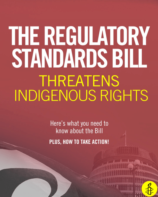 Reflection on the Regulatory Standards Bill (RSB) – Adham Harash – The ...