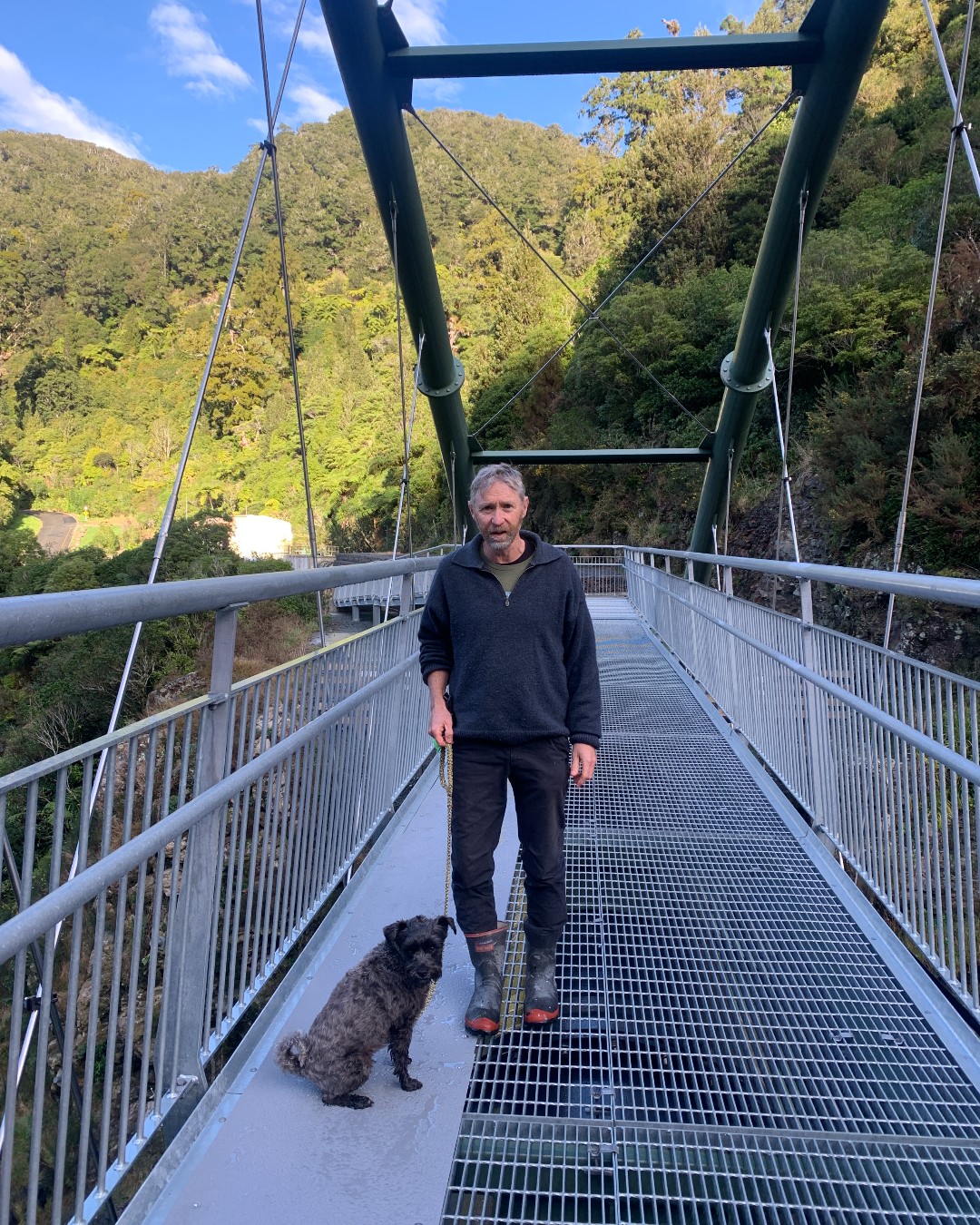 A paw-friendly ramp makes crossing the pipe bridge easier for dog ...