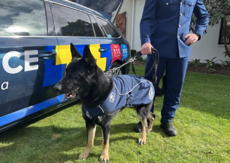 A valued partnership – Police and Customs celebrate graduates – The ...