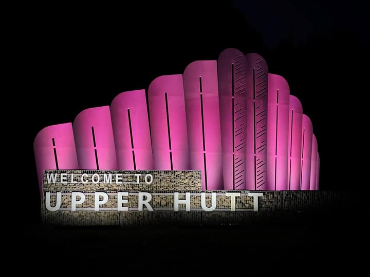 Upper Hutt’s fantail sign is lit up purple for global ITP week – The ...