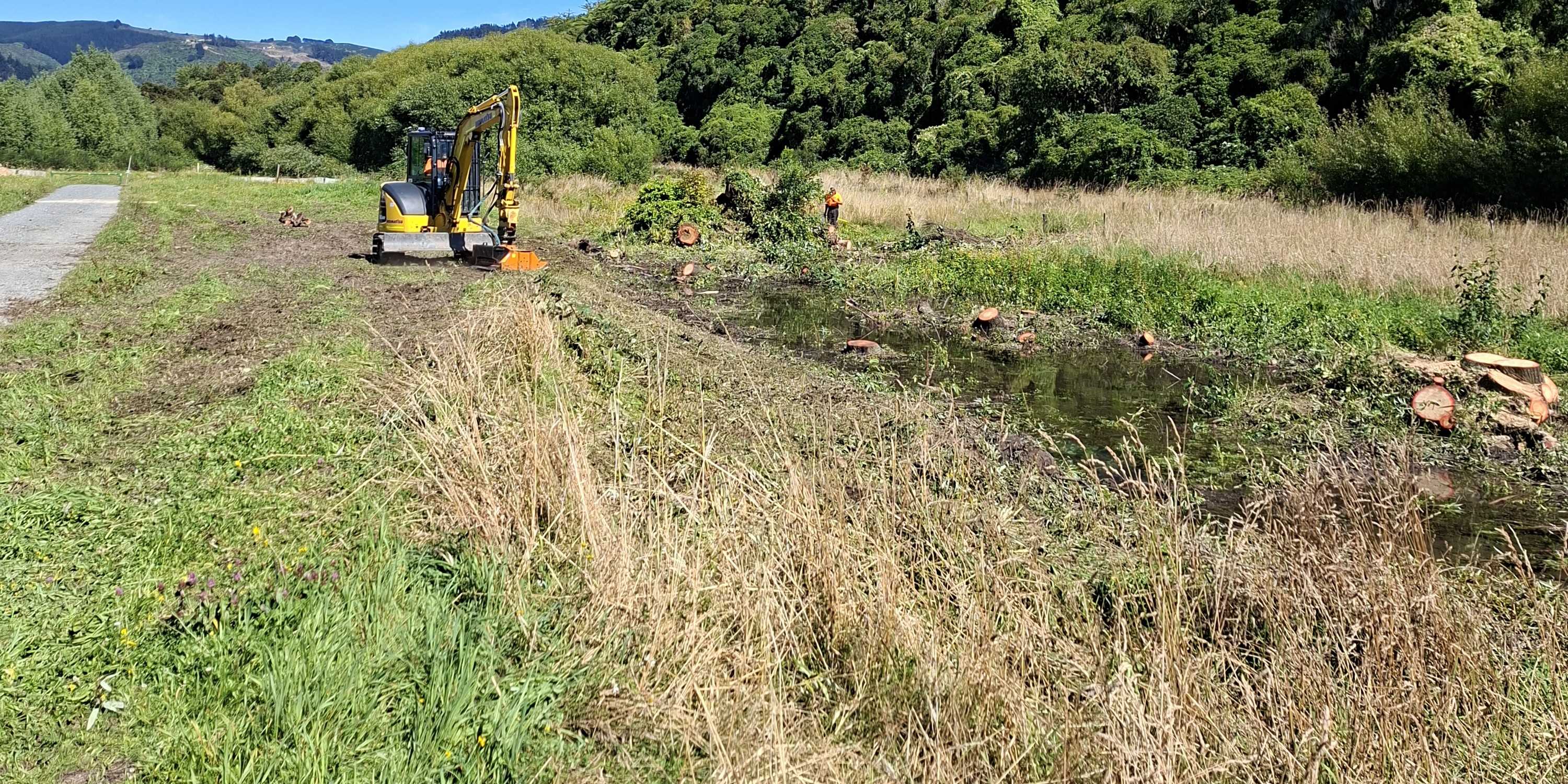 Haukaretu Stream Restoration Project – Totara Park – The Upper Hutt ...